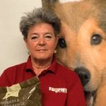 Home - Severn Valley Business Group